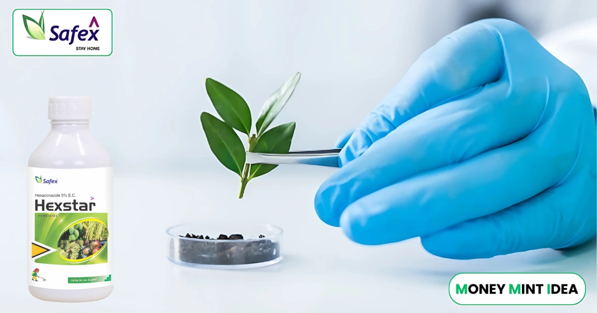 Safex Chemicals IPO 2025, Date, GMP, Price, Allotment, Review & Listing